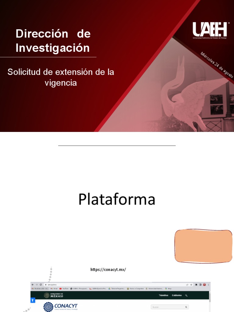 Extensión de Vigencia | PDF