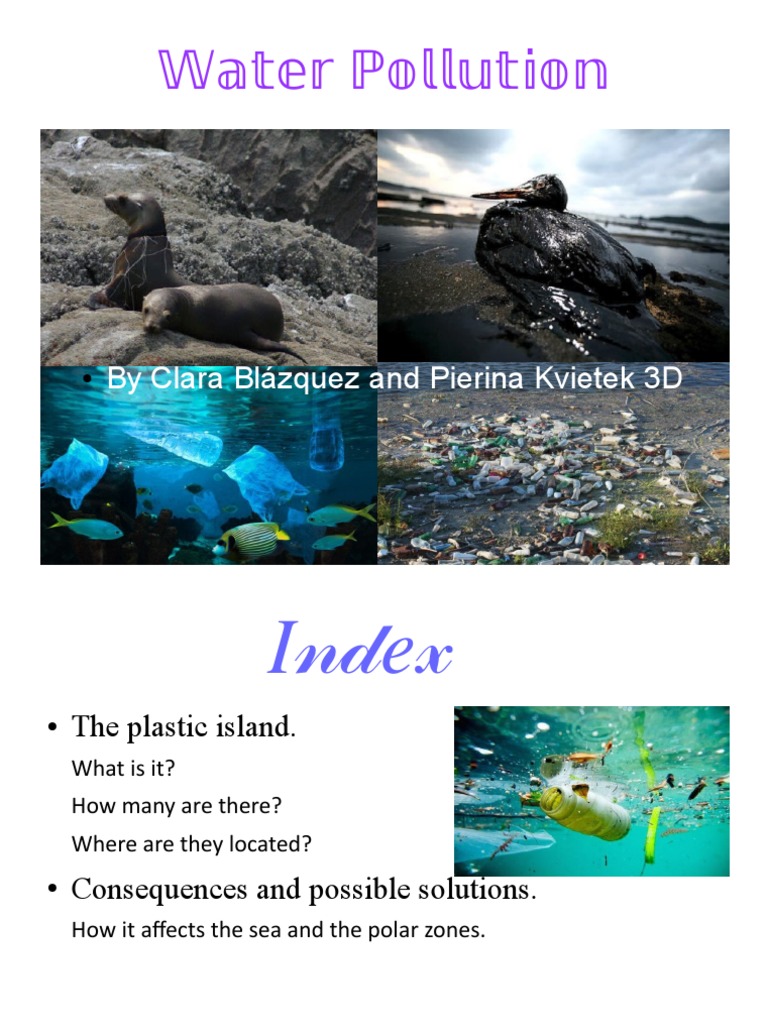Understanding Water Pollution Effects | PDF | Science & Mathematics