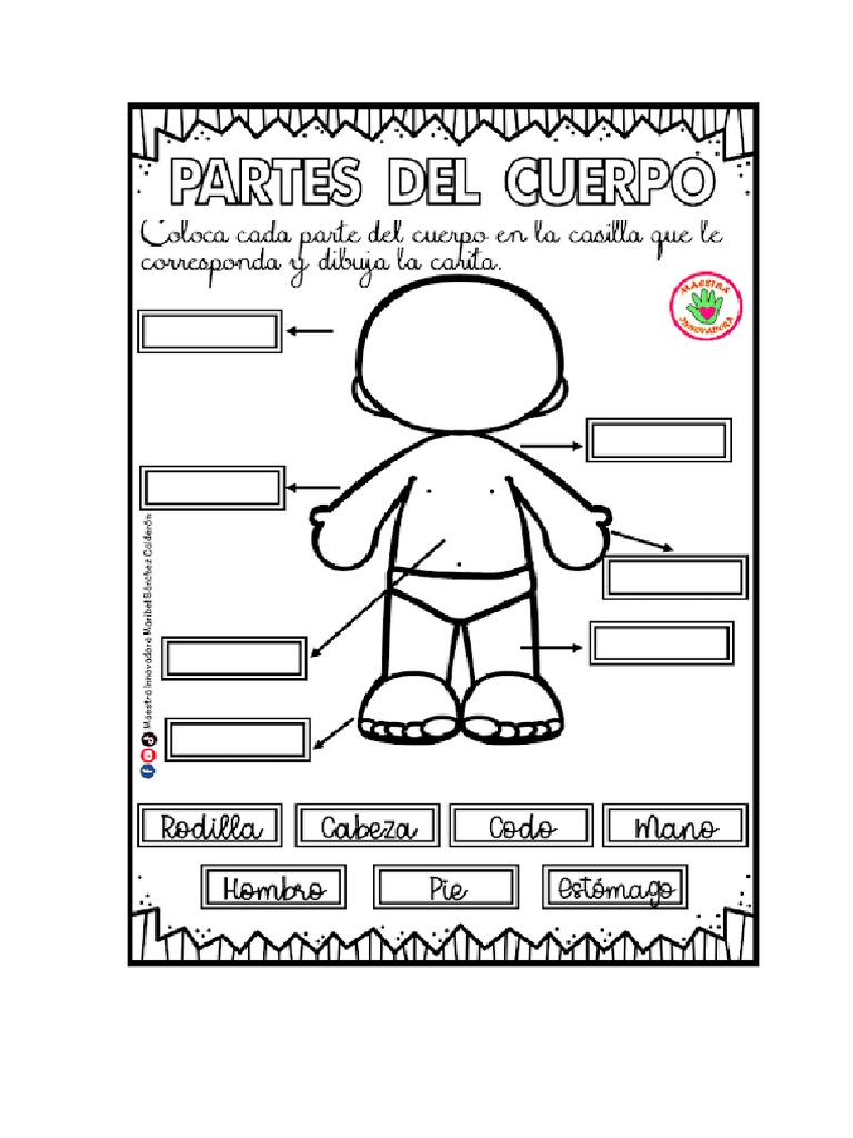 Fichas Partes De Cuerpo Pdf