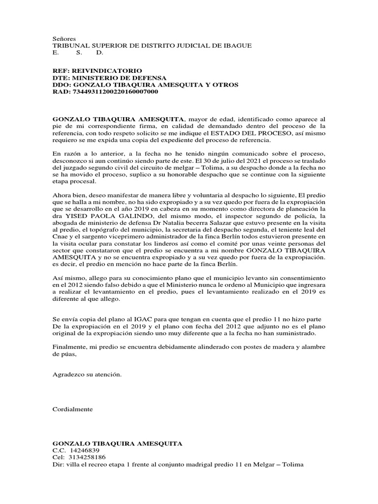 Solicitud de Estado del Proceso Judicial | PDF | Gobierno