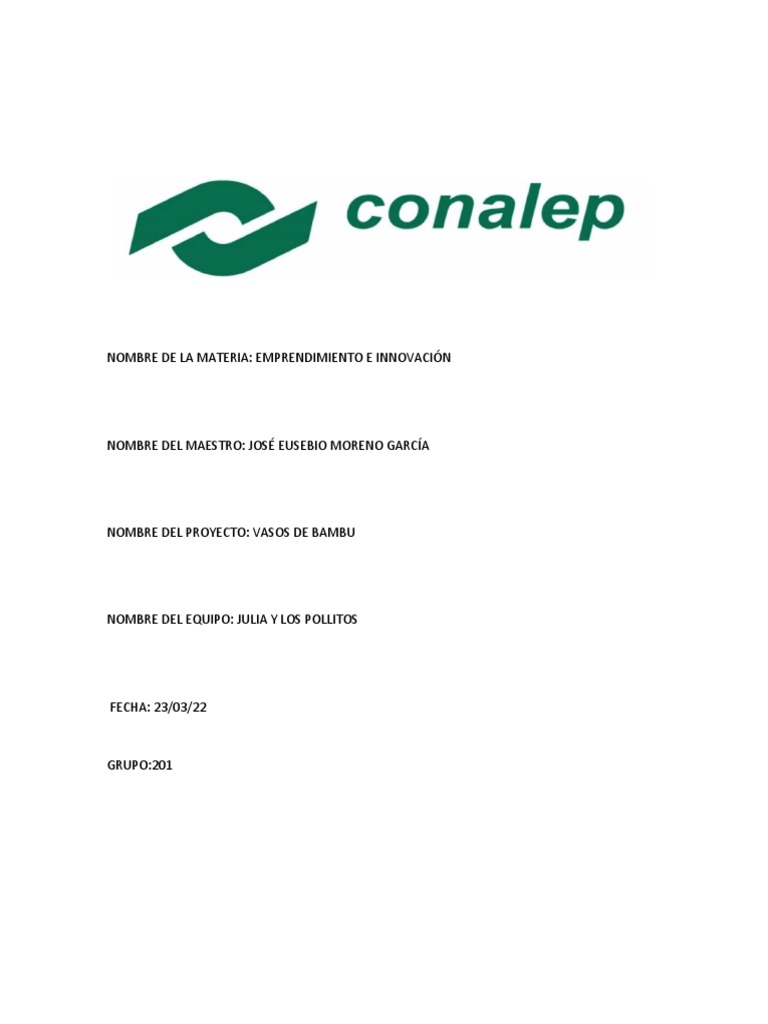 Formato para Elaborar Un Proyecto | PDF