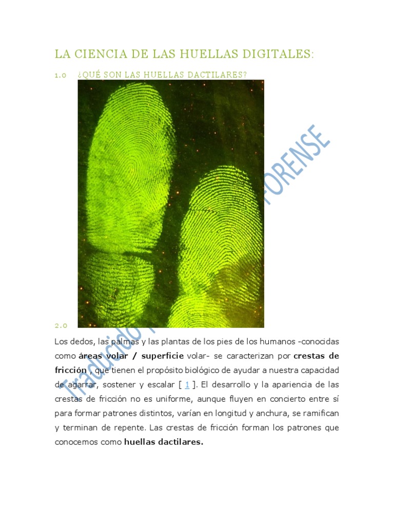 LA CIENCIA de Las HUELLAS DIGITALES LOFOTECNIA-1 | PDF | Huella dactilar
