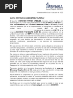 Carta Responsiva de Resguardo Vehicular | PDF | Vehículos de ruedas | Coche