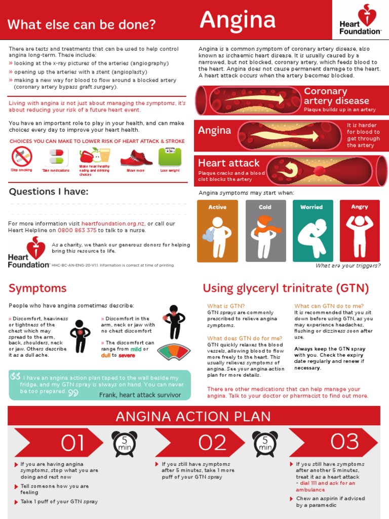 What Is Angina Pamphlet | PDF | Coronary Artery Disease | Myocardial Infarction
