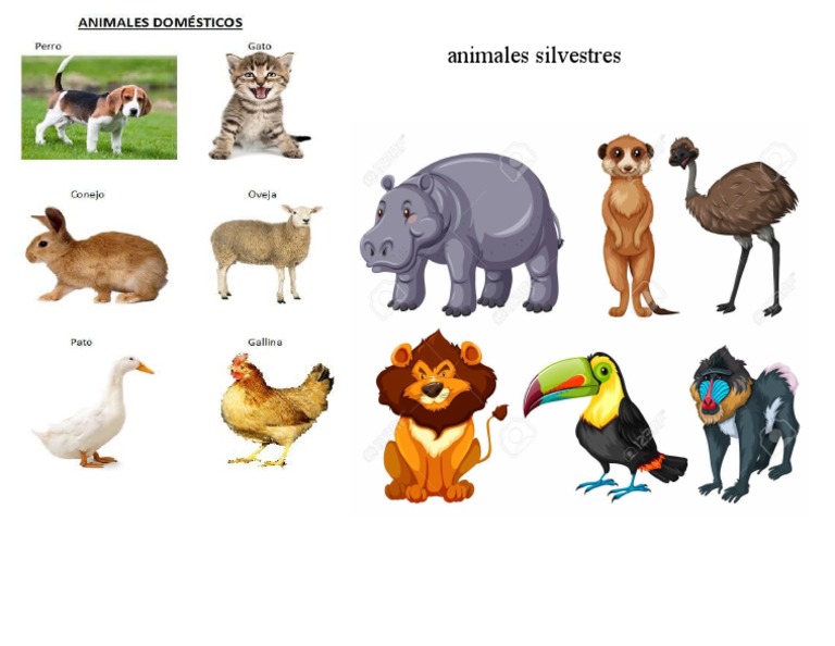 Animales Silvestres | PDF