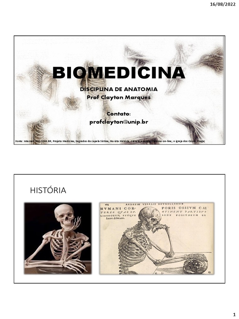 Aula 1 Anatomia Pdf Anatomia Corpo Humano