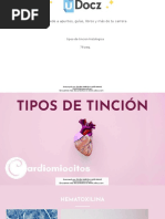 11-Direcciones - Eess - Atimasa - Primax 2018 | PDF | Ecuador
