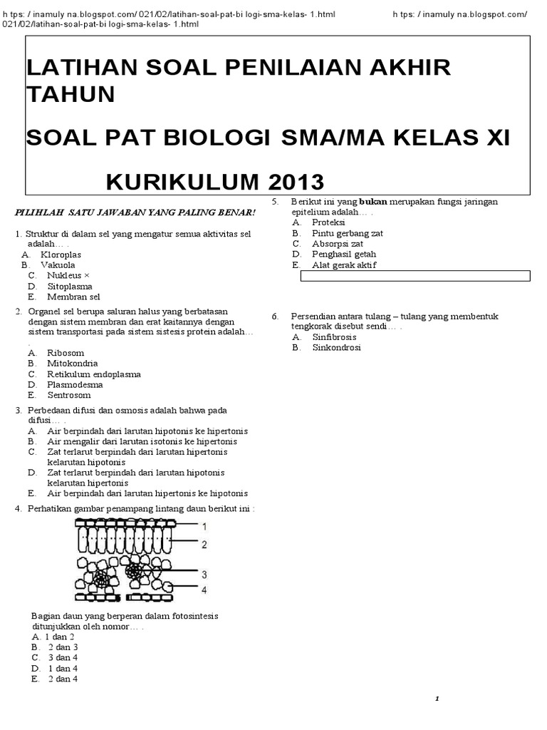 16 Naskah Soal PAT Biologi XI | PDF