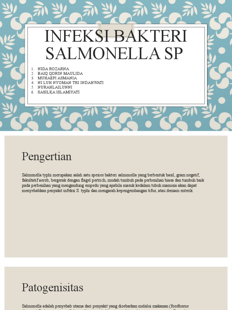 Bakteri Salmonela SP Kelompok 1 | PDF | Kesehatan Holistik