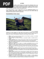 Ciclo de Vida de La Vaca | PDF | Vacas | Leche