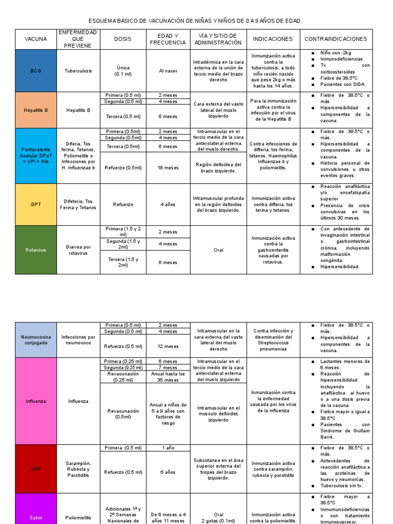 Esquema Basico De Vacunacion