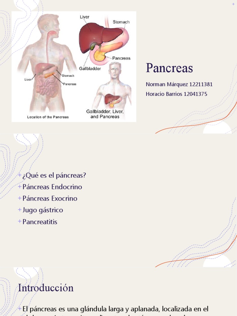 Pancreas | PDF | Páncreas | Bioquímica