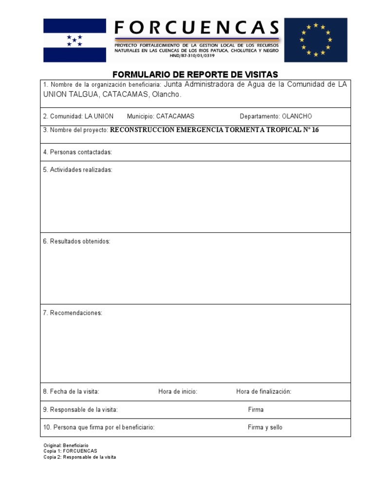 Form31.formulario de Reporte de Visitas Ii | PDF