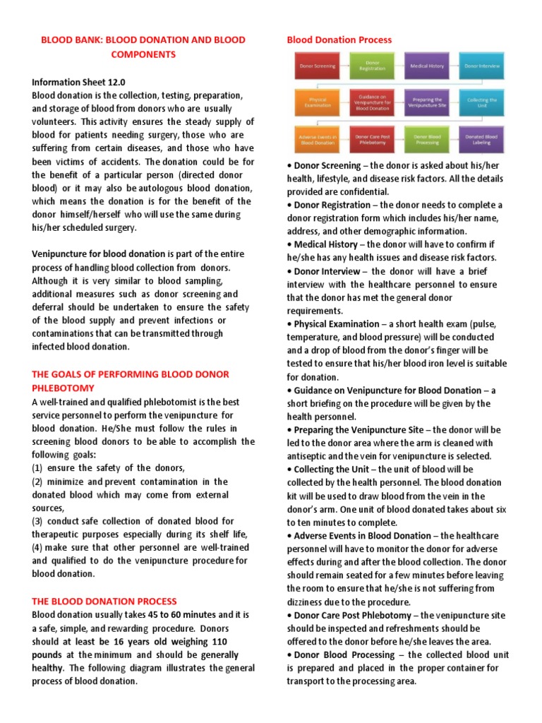 Blood Donation Process Overview | PDF | Hepatitis B | Blood Donation