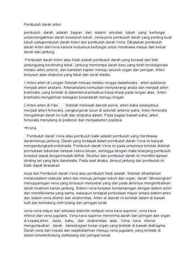 Pembuluh Darah Arteri | PDF