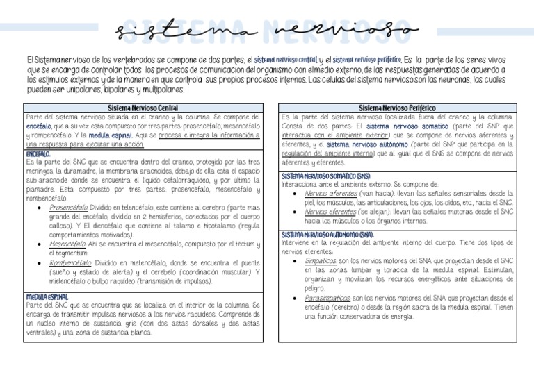 Cuadro Comparativo SNC y SNP | Descargar gratis PDF | Sistema nervioso ...