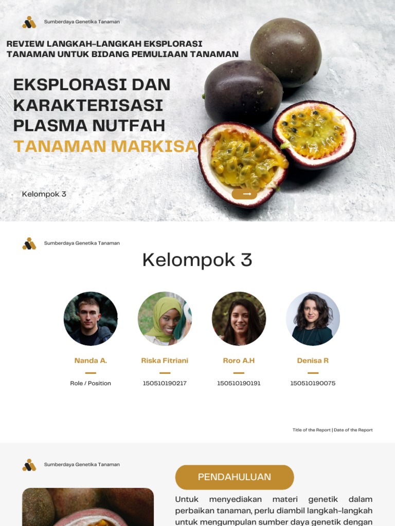 Kelompok 3 - SDG - PPT | PDF