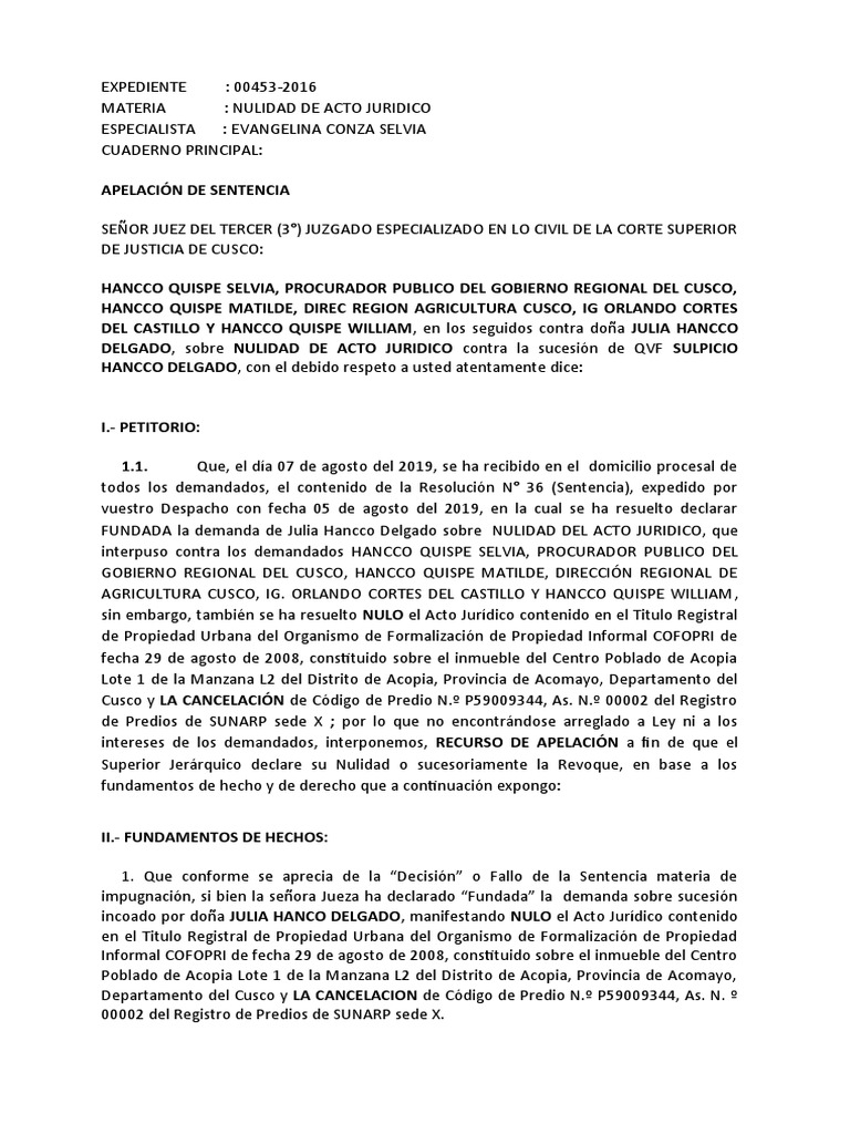 APELACION | PDF | Sentencia (ley) | Debido al proceso