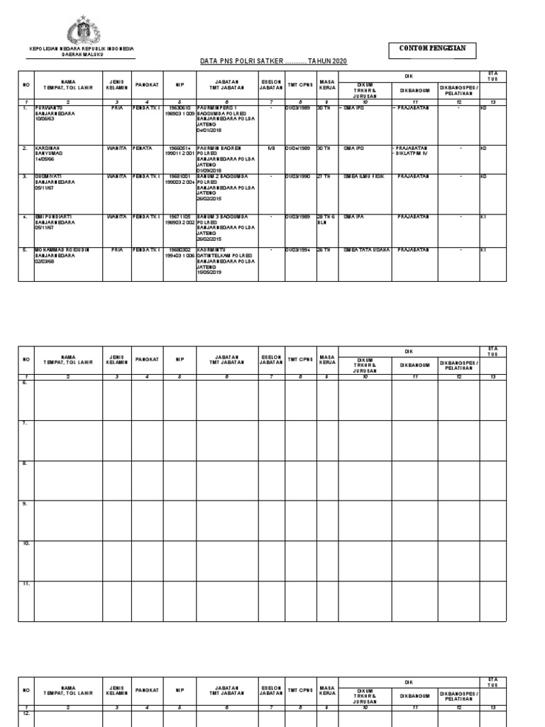 Data PNS Format A | PDF