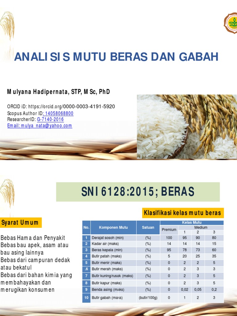 Pengujian Mutu Beras | PDF