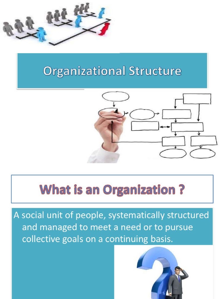 Organizational Structure | PDF
