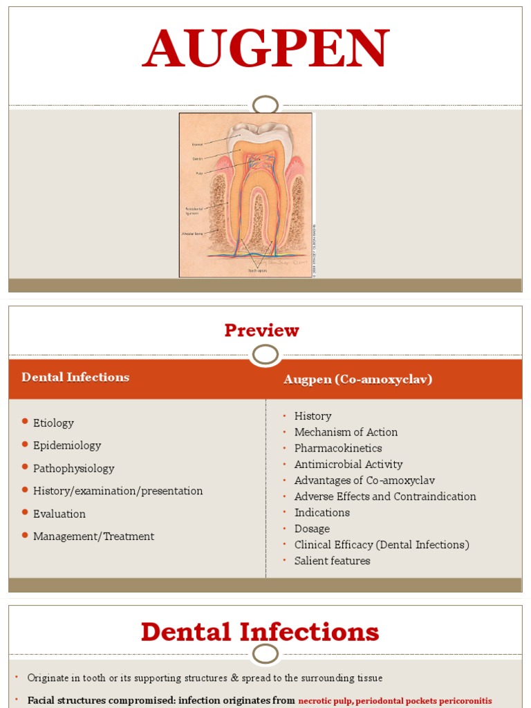 Augpen Dental Cme Slides | PDF | Periodontology | Human Tooth