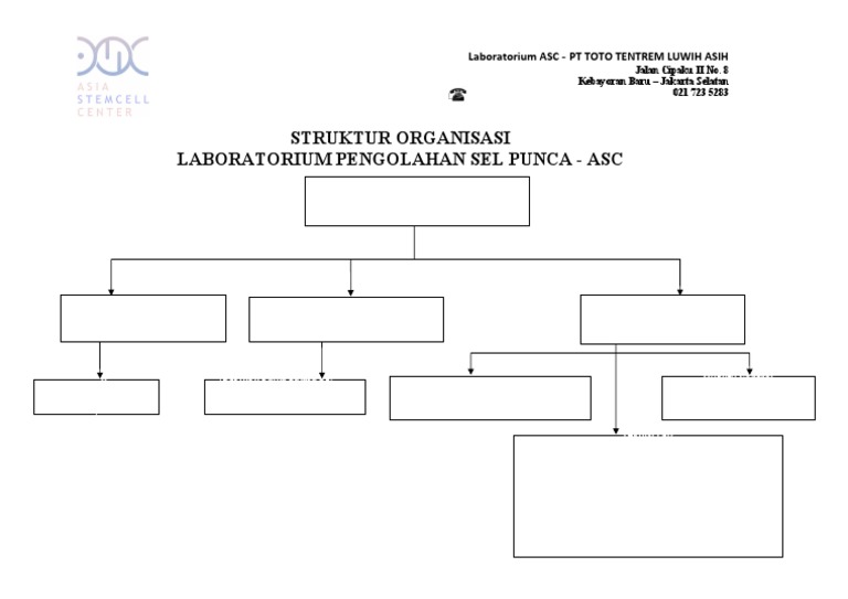 Struktur Organisasi Asc Fix | PDF