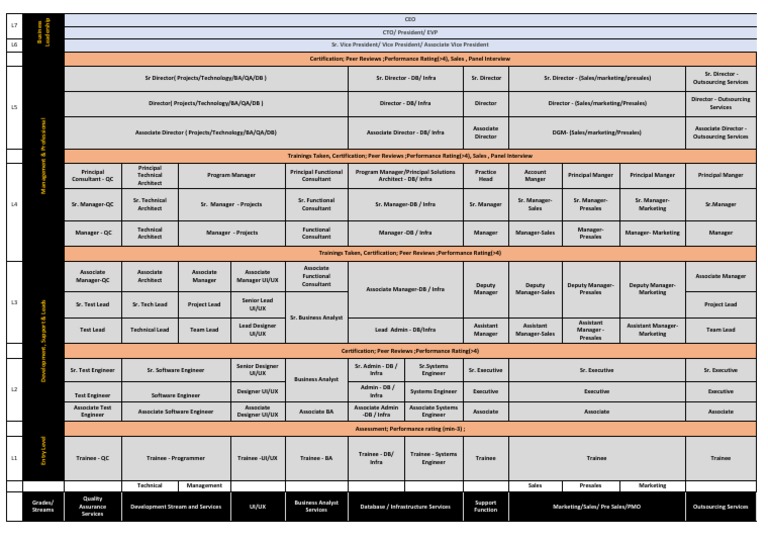 Career Level Diagram - V5 | PDF | Information Technology | Systems Engineering