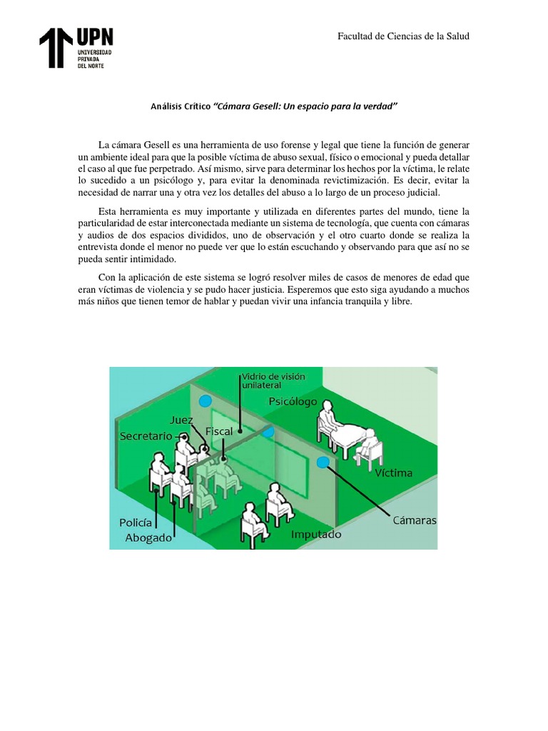Cámara Gesell | PDF | Ciencias sociales | Relaciones personales ...