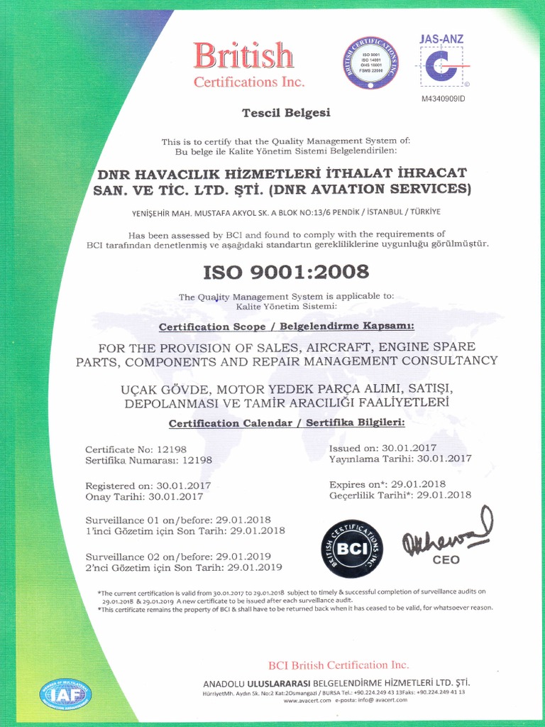 Iso 9001 | PDF