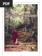 Pansil Pada 5 Sinhala Overview | PDF | Self-Improvement | Wellness