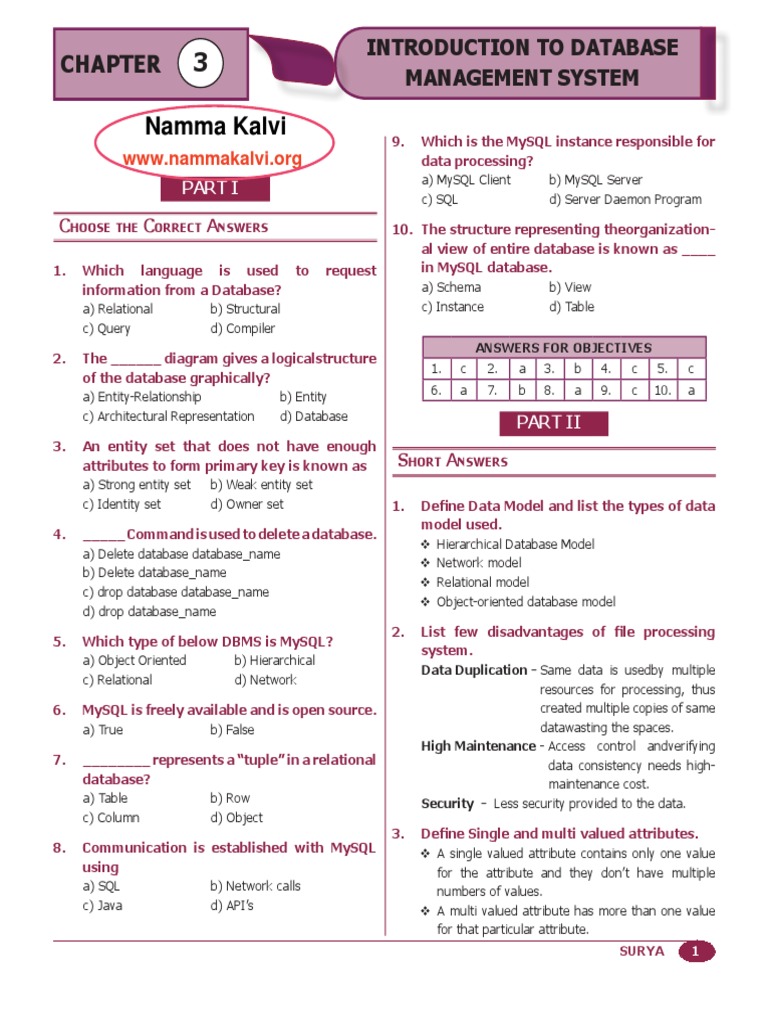 Namma Kalvi 12th Computer Applications Chapter 3 Surya Guide | PDF | Relational Database | Databases