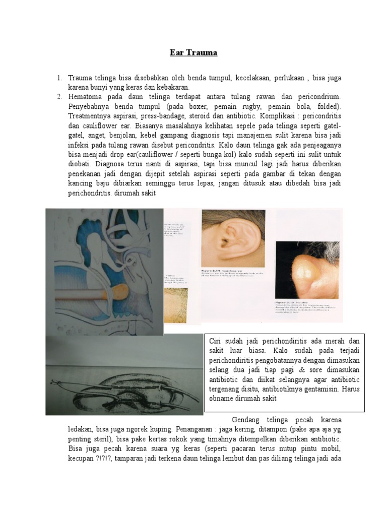Penyebab dan Penanganan Trauma Telinga | PDF | Sains & Matematika