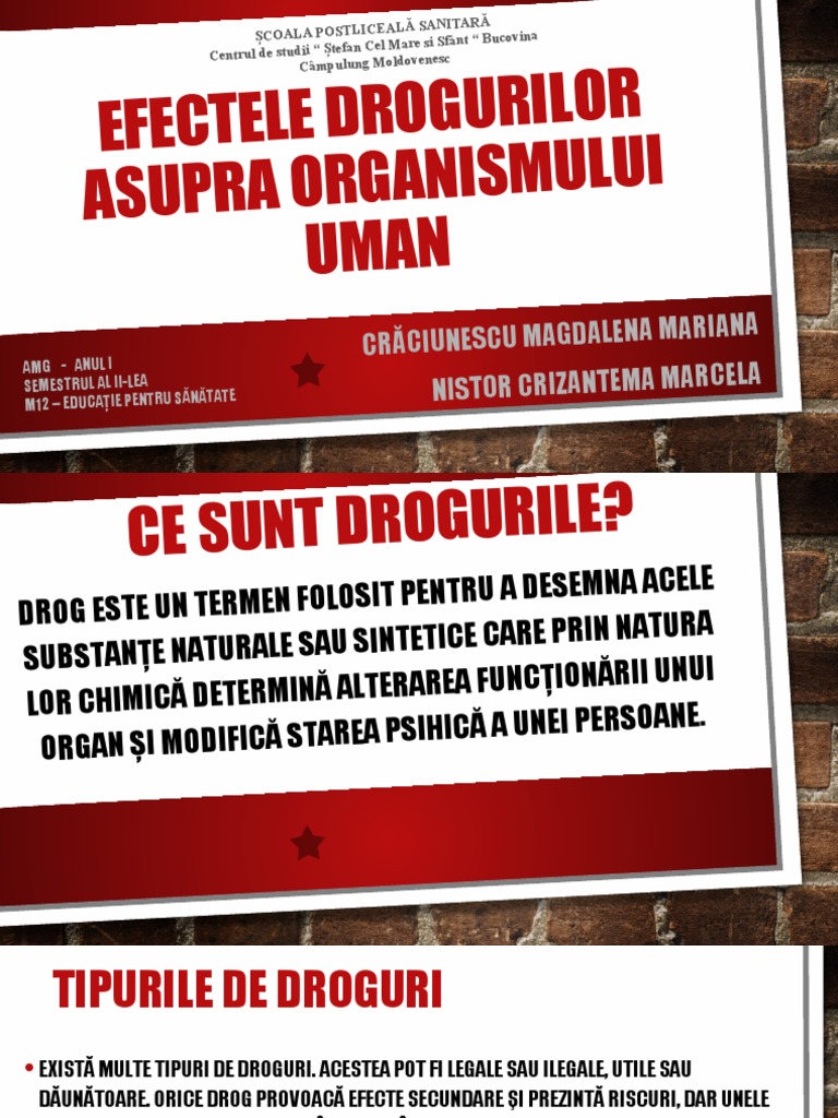 Efectul Drogurilor Prezentare | PDF