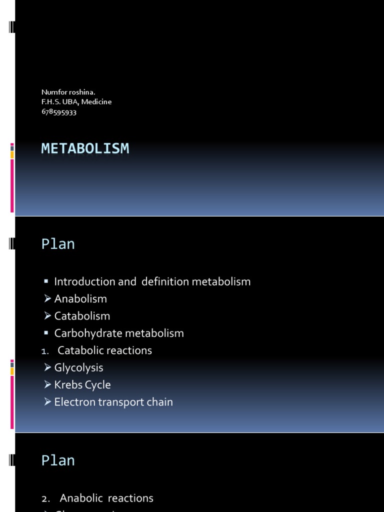 Biology Metabolism Pdf Cellular Respiration Glycolysis