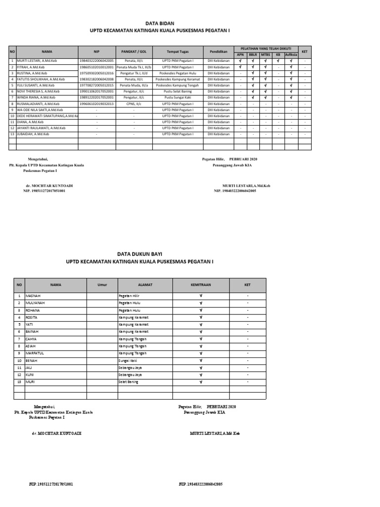 Form Data Bidan, Dukun, PONED | PDF