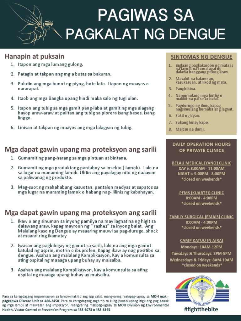 Dengue Poster - Tagalog | PDF