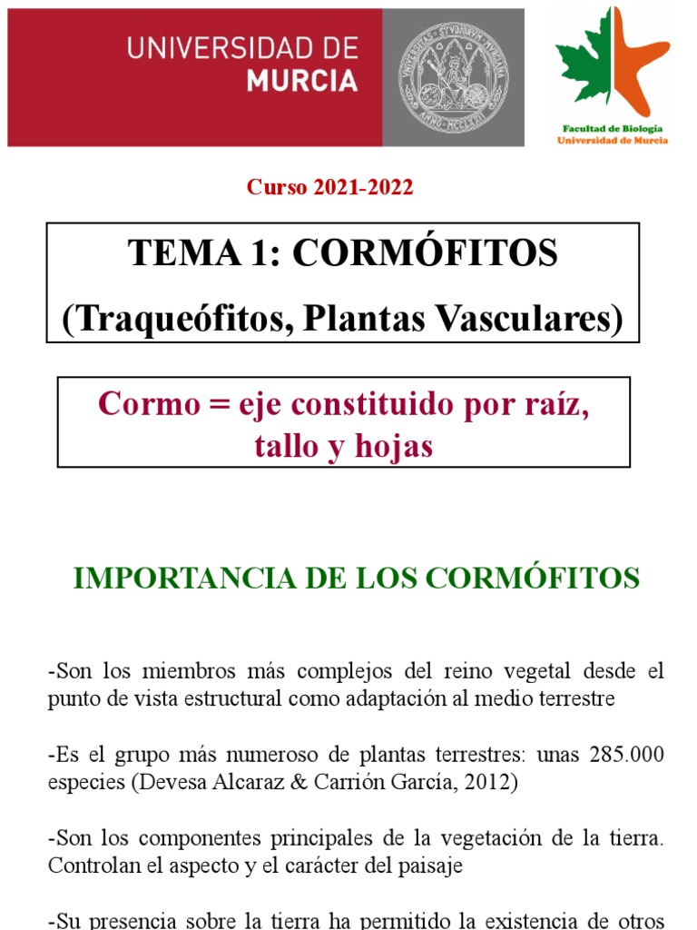 Tema 1 - Cormofitos 21-22 | PDF | Tallo de la planta | Hoja