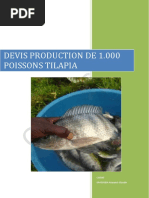 Projet de pisciculture à Akonolinga | PDF | Aquaculture | Étang