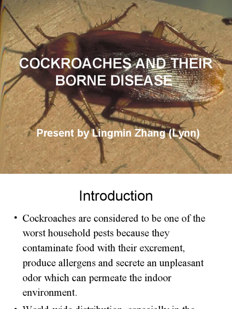 cockroaches and their borne disease_20160601100215 | PDF | Pest Control ...