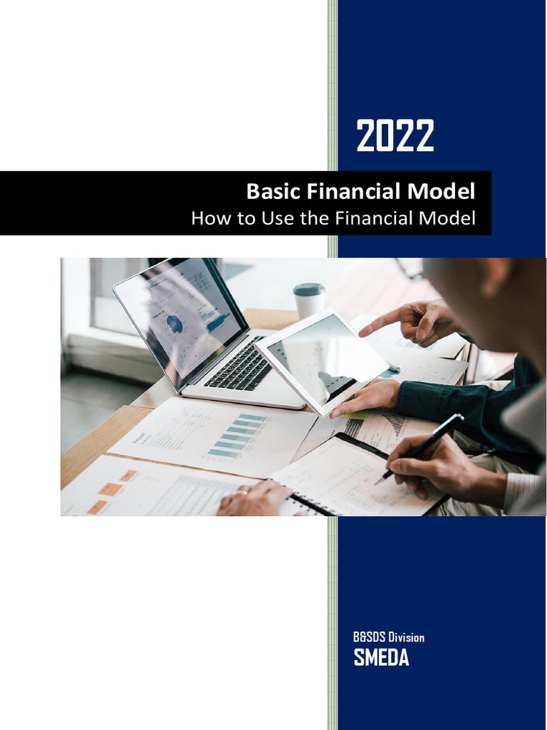 Basic Financial Model - User Manual | Download Free PDF | Inventory ...