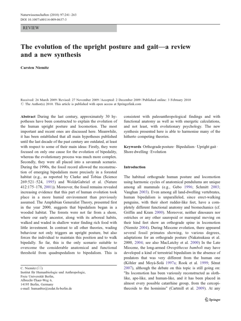 The Evolution of The Upright Posture and Gait-A Review | PDF ...