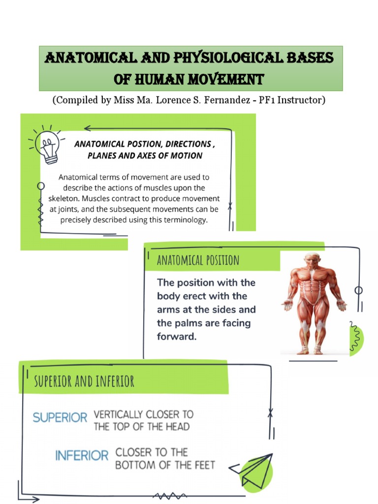 Human Movement: Anatomy & Physiology | PDF | Social Science