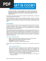 M2 Session 4 Roles and Responsibilities of Key Actors in CCCM | PDF | Internally Displaced Person