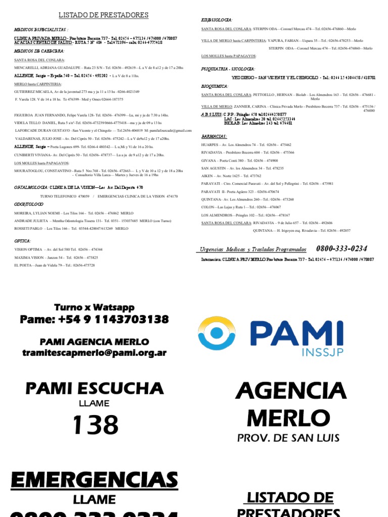 2021 CARTILLA PRESTADORES Pami | PDF