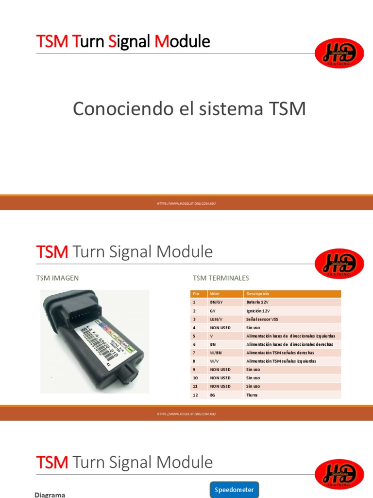 TSM Harley Davidson | PDF