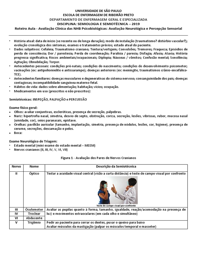 Roteiro Estudo Avaliação Neurológica | PDF | Sistema visual | Coma
