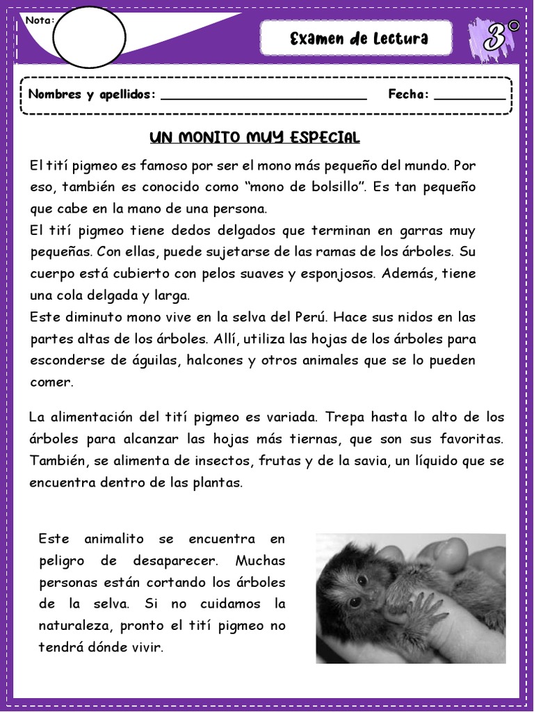 Examen de Lectura | PDF