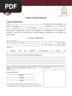 Carta Poder Simple para Tramites IMSS | PDF