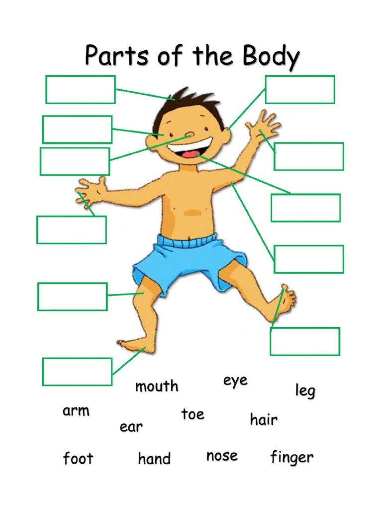 Body and House | PDF